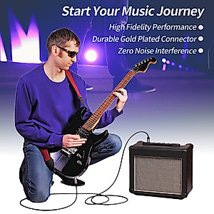 ARLX Guitar Cable 10 Feet Professional Guitar Amp Cord 1/4 inch Instrument Cable, Electric Bass Guitar Cable