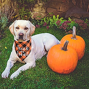 Halloween Thanksgiving Dog Bandanas Fall Dog Puppy Bandana Plaid Reversible Dog Triangle Bibs Scarf Accessories for Dogs Pets