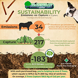 Makondo Pets Bully Sticks 100% Natural Beef Dog Chews, 6” Premium Quality Healthy Dog Treats for Training Suitable for Puppies & Adults, Zero Filler or Preservatives 12Pcs 340g