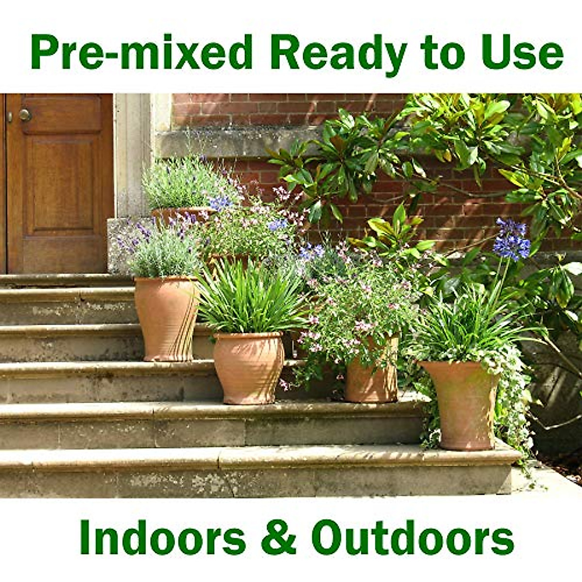 WONDER SOIL Organic Potting Soil | Ready to Plant Coco Coir Fully Loaded with Nutrients | 3 LBS Bag Expands to 12 Quarts of Indoor Outdoor Soil for Gardens & Plants | Incl Worm Castings, Perlite