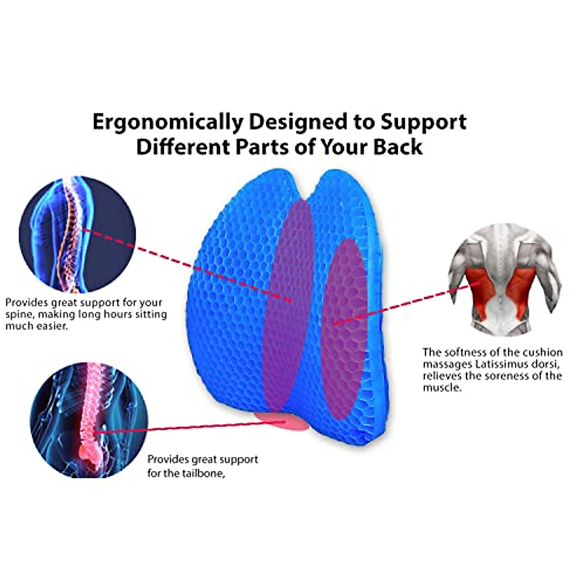 LunaBox Dense Lumbar Pillow - Ergonomic Patented Multi-Region Back Support for Lower Back Pain Tailbone Relief, Lumbar Support Cushion w/Strap for Home, Office Chair and Sofa - Black