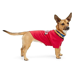 YOULY Head of Security Dog Tee, Large