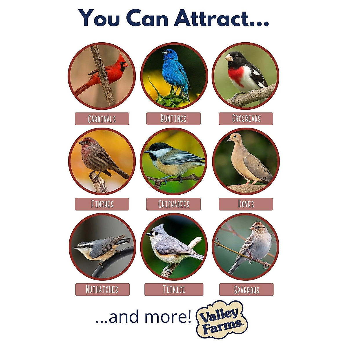 Valley Farms Cardinal Mix Wild Bird Food for Outside Feeders, Bird Seed with Black Oil Sunflower Seeds and Safflower Seeds, Attract a Variety of Wild Birds, 3 LBS 2-Pack (6 LBS Total)