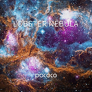 Gorgeous Nebula - Discs for POCOCO Galaxy Home Planetarium Projector, 5k Ultra HD, 6 Pieces (Without Projector)