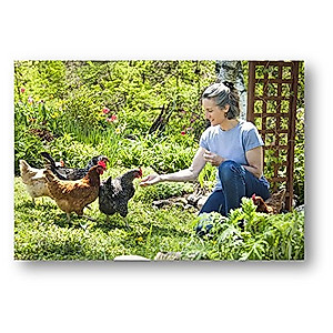 Manna Pro Scatter Snacks, 1.68 lb