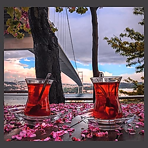 UMS Turkish Tea Glass Set - Slim Waist Design and Thick Sole Prevent Tea From Getting Cold, Easy to Keep for 6 People, 6 Saucers, 6 Glasses, Useful Tea Set (12 Pieces)