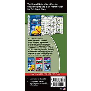 Hawaii Nature Set: Field Guides to Wildlife, Birds, Trees & Wildflowers of Hawaii