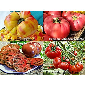 Mixed Seeds! 30 Giant Tomato Seeds, Mix of 19 Varieties, Heirloom Non-GMO, Brandywine Black, Red, Yellow & Pink, Mr. Stripey, Old German, Black Krim, from USA