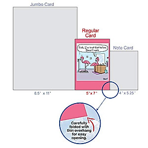 NobleWorks - 1 Funny Women's Birthday Card with Envelope - Cartoon Humor, Stationery Bday Celebration Card for Wife, Women - Flamingo Scale C3370BDG