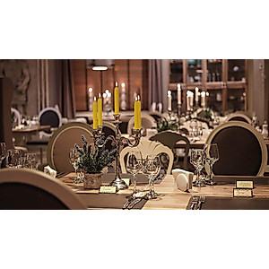 Hyoola 7 Inch Beeswax Taper Candles 12 Pack - Handmade, All Natural, 100% Pure Unscented Bee Wax Candle - Tall, Decorative, Golden Yellow - 7 Hour Burn Time