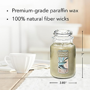 Yankee Candle Sage & Citrus Scented, Classic 22oz Large Jar Single Wick Candle, Over 110 Hours of Burn Time