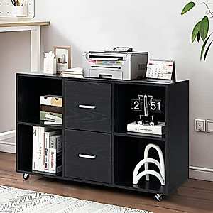 IFANNY 2 Drawer File Cabinet, Lateral Filing Cabinet with Shelves & Wheels, Black Buffet Sideboard, Rolling Storage Cabinet, Wood Cabinets for Home Office, Dining Living Room, Kitchen, Bedroom