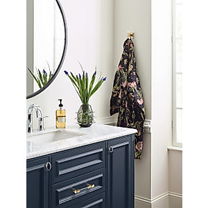 Amerock BH36060CCZ | Clear/Champagne Bronze Single Robe Hook | 2-15/16 in. (75 mm) Length Towel Holder | Glacio | Towel Hook for Bathroom | Bathroom Hardware | Bath Accessories