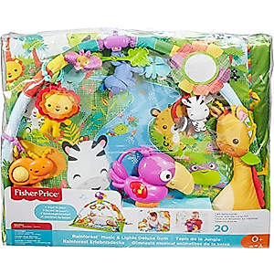 Fisher-Price Tiny Take-Alongs Gift Set, 6 Activity Toys For Baby To Rattle and Teethe
