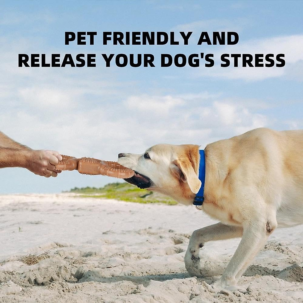 SUSSEXHOME Molar Teeth Indestructible Dog Chew Toy - Long Lasting Dog Chew Toys for Aggressive Chewers - Natural Rubber & Food-Grade Nylon - Deep Cleaning Teething Toy for Big Pets - Brown