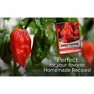 Ghost Pepper Seeds for Planting Spicy Hot - Heirloom Non-GMO Hot Pepper Seeds for Home Garden Vegetables Makes a Great Plant Gift for Gardening by Gardeners Basics