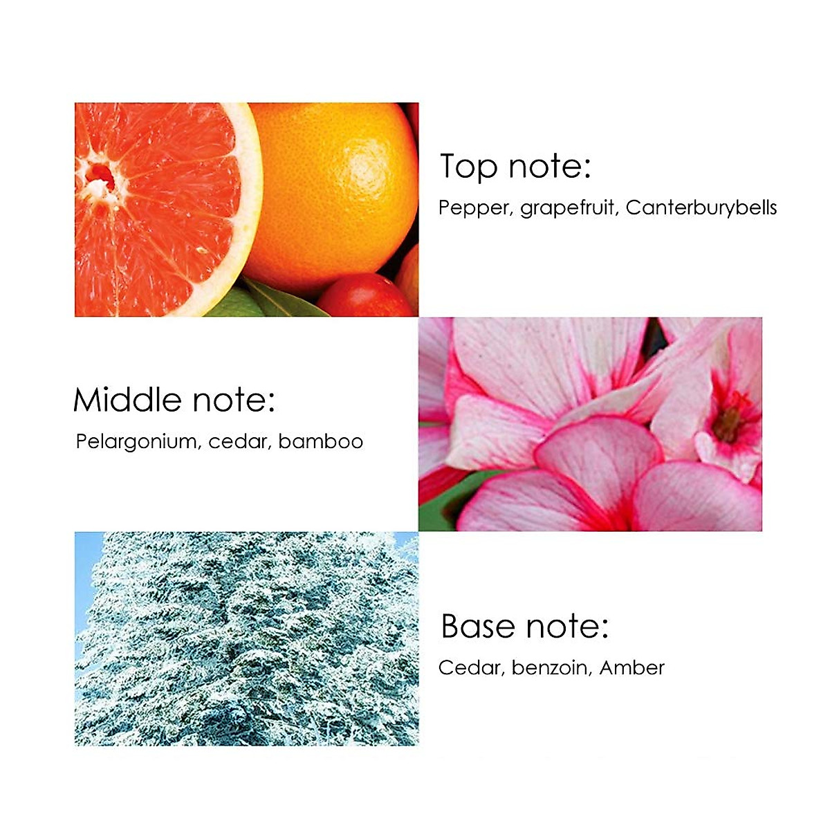 FILFEEL Men Fragrance Long-Lasting Cologne Perfume Leather Case Gift