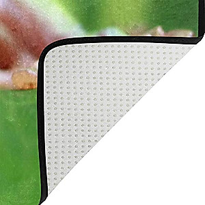 ALAZA Green Leaf Frog Non Slip Area Rug 5' x 7' for Living Dinning Room Bedroom Kitchen Hallway Office Modern Home Decorative