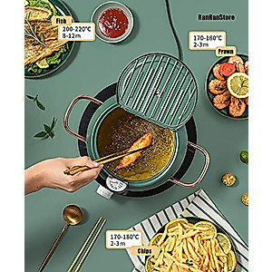 RANRAN Japanese Tempura Deep Fryer Pot with Thermometer and lid 20 cm / 8 inches 2200ml 2.3 Quart with nonstick coating Mini Deep Fryer tempura/chicken/fish/shrimp Perfect for Couples (Green Black) Easy Clean RRSRSYZG