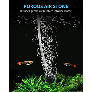 NICREW Nano Silent Aquarium Air Pump, Corded Electric, Aquarium Aerator with Accessories for Up to 10 Gallon Fish Tank, Super Quiet, 0.3 L/min, 1.5 Watts