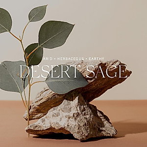 Antica Farmacista Room Spray Desert Sage, 3.3 Fl Oz