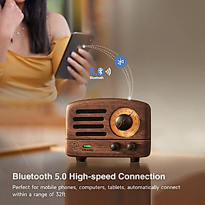 Muzen Portable Bluetooth Speaker, OTR Wood Vintage Small Wireless Speaker, FM Radio with Antenna AUX, 10h+ Long Playtime, High Fidelity Stereo Audio with Suitcase, for Gift Home Picnic