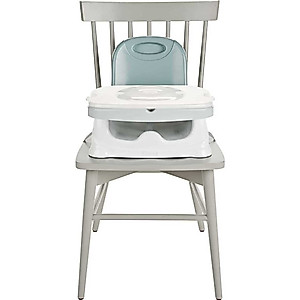 Fisher-Price Healthy Care Deluxe Booster Seat