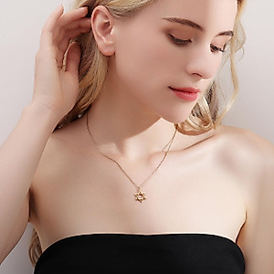 AILUOR 18K Gold Plated Megan Star of David Pendant Necklaces, Six Pointed Megan Star Jewish Israel Jewelry for Women/Men Hip Hop Jewelry (Gold)