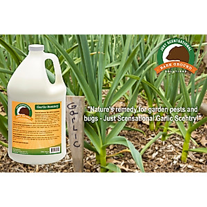 Just Scentsational Bare Ground Solutions GAR-128 All Natural Liquid Garlic Barrier and Repellent, 128 oz (1 Gallon)
