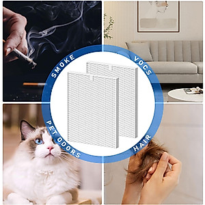 Fizerneer D360 Ture HEPA Replacement Filter Compatible with Winix D360 Air Purifier, Item Number 1712-0101-02, 2 Ture HEPA Filter Only