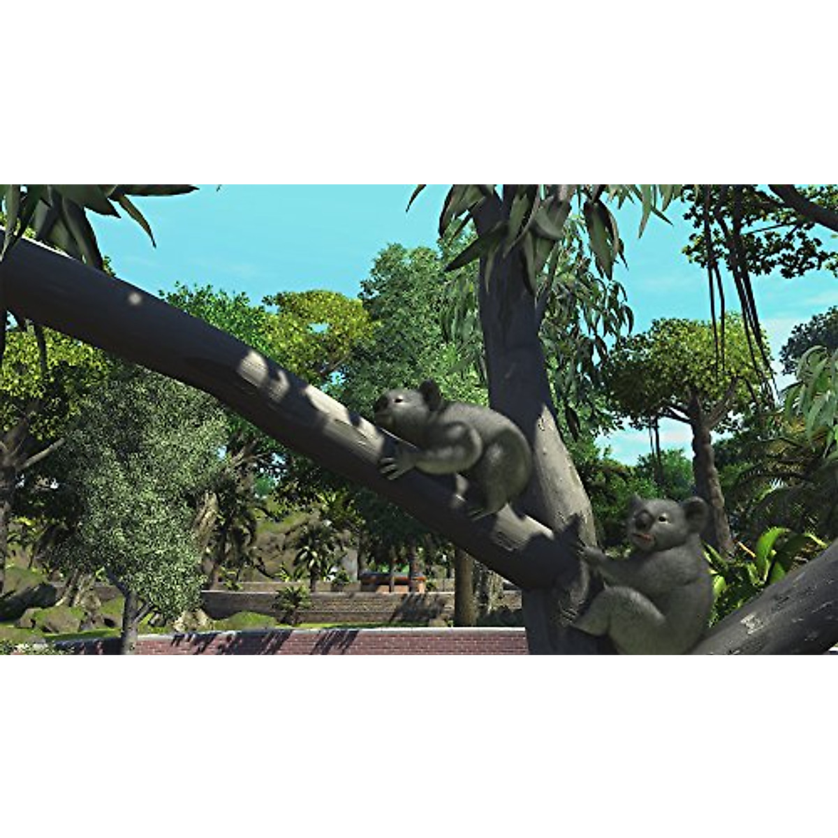 Zoo Tycoon Definitive Edition - XBONE