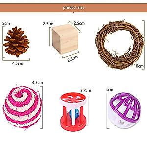 Joyeee Hamster Chew Toys Set 11 Pack, Small Animal Molar Toys Teeth Care Natural Wooden Accessories for Guinea Pigs,Chinchillas,Gerbils,Mice,Rats,and Other Small Animals