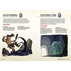 Dungeons & Tombs (Dungeons & Dragons): A Young Adventurer's Guide (Dungeons & Dragons Young Adventurer's Guides)