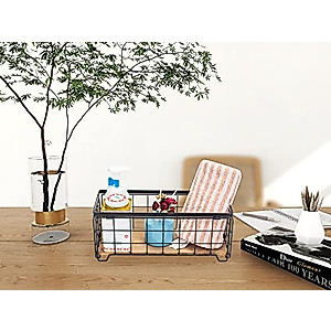 TIEYIPIN [2 Set] Small Metal Wire Storage Basket (Brown) & Toilet Tank Basket (Black)