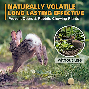 Ksqurelnb Deer Repellent, Rabbit Repellent Outdoor, Deer and Rabbit Repellent for Plants, Powerful Rabbit Repellent for Darden, Deer Deterrent for Darden, Deer Away, Rabbit Deterrent for Yard - 8P