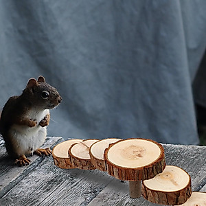 Wooden Hamster Ladder Bridge,Small Animals Climbing Ladder Activity Set Platform Ramps Playground Toys for Parrot Ferret Squirrel Hamster Rat Small Animals Little Rodent to Play and Exercise