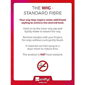 Smiffys Neil Hippy Wig