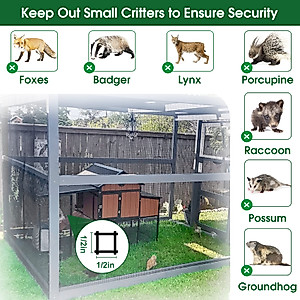 HOPERAN 1/2 inch Black Hardware Cloth, 36 x 50 Ft, 19 Gauge, Black PVC Coated, Welded Wire Mesh Roll for Chicken Coop and Garden Fencing