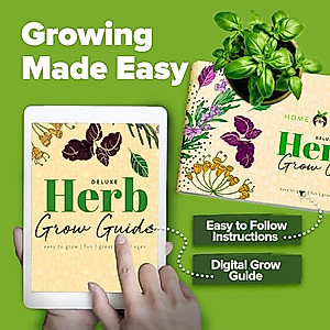 4 Herb Garden Starter Kit Indoor: Complete Grow Kit w/Deluxe Ceramic Pots & Soil - DIY Herb Seeds to Plant, Window Garden Home Growing Kit - Best Plant Gifts for Women, Unique Gifts for Cooks