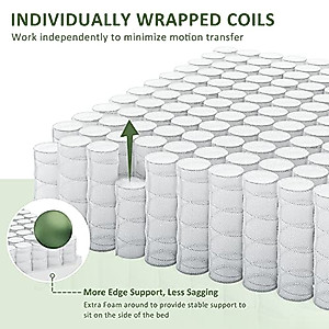 Naiveer Queen Mattress 10 Inch, Memory Foam Hybrid Mattress, Queen Size Mattress in A Box, Individually Wrapped Coils, CertiPUR-US Certified, Medium Firm Mattress for Back Pain & Pressure Relieve