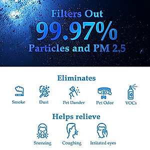 Vegebe IC-5018 & IC-5120 Replacement Filter