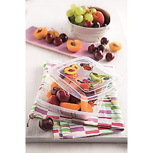 Snips Storage Food Container with Airtight Lid, Set of 3, 16-Ounce, 5", Clear