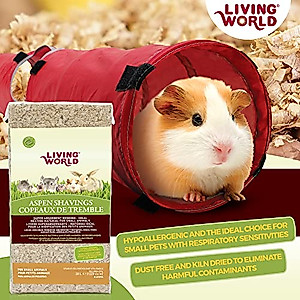 Living World - Aspen Wood Shavings, 1220 Cubic Inches - Bedding & Nesting Material for Small Animals