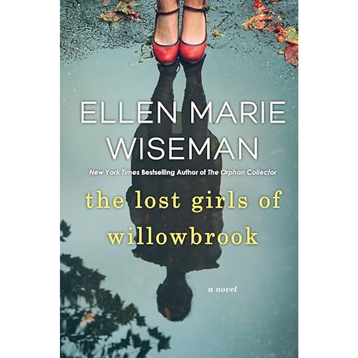 The Lost Girls of Willowbrook: A Heartbreaking Novel of Survival Based on True History