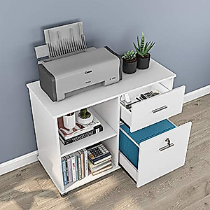 Tribesigns 2 Drawers File Cabinet with Lock, Mobile Lateral Filing Cabinet for Letter Size, Printer Stand with Rolling Wheel and Open Storage Shelves for Home Office, White