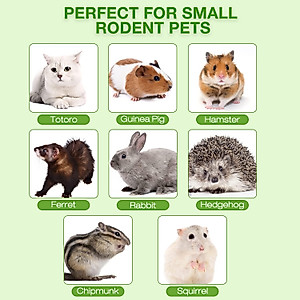 MQFORU Rabbit Hanging Toys, Chinchilla Chew Toys, Guinea Pig Toys, Small Animal Toys, Bunny Treats Toys Cage Accessories for Teeth, Hamsters Rats Toys for Snacks, Food Grade Materials Dyes