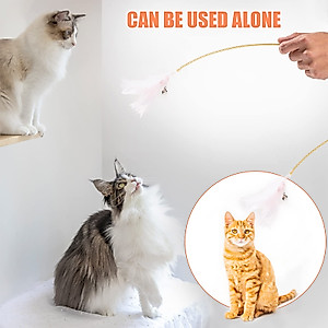 LUKYY Cat Teaser Wand with Neck Collar,Hand-Free Cat Feather Wand Toy,Interactive Self Play Toys with Bell for Indoor Kittens,Entertainment Furry Toy for Cats.