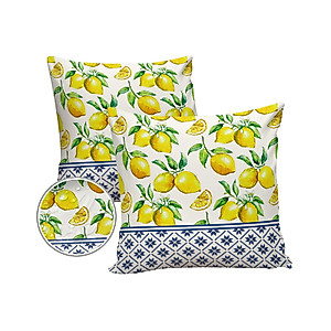 Throw Pillows for Couch Pack of 2 Waterproof Throw Pillow Covers 16x16 Inch, Outdoor Pillows Cushion Case for Bed Sofa Outdoor Furniture, Summer Lemon Texture Decorative Pillows Cover