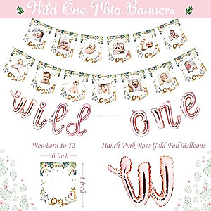 Wild One Birthday Decorations for Girl, 1st Birthday Girl Decorations Supplies Kit, Wild One Monthly Photo Banner, Boho Floral Wild One Balloon Garland, 1st Birthday Crown, Cake Toppers, Birthday Sign