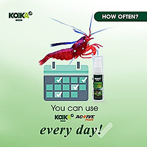 V-Active Plus Specialized Probiotics for Ornamental Shrimp by KOIKA | Environmental Improvement & Boost Immune System, Increase Fertility for Ornamental Shrimp(V-Active Plus, 3.55 fl oz/ 105ml)